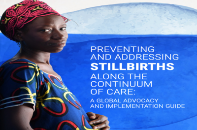 Preventing and Addressing Stillbirths Along the Continuum of Care: A ...