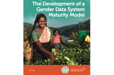 The Development of the Gender Data System Maturity Model - Gender ...